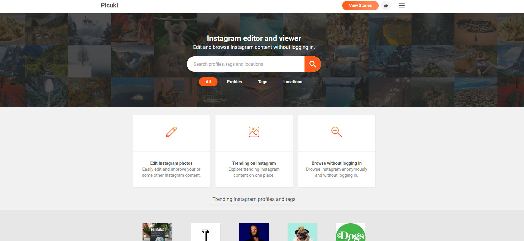 How to Use Picuki to Enhance Your Instagram Photos